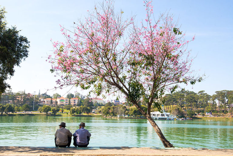 Things To Do in Da Lat Vietnam - Touring Highlights