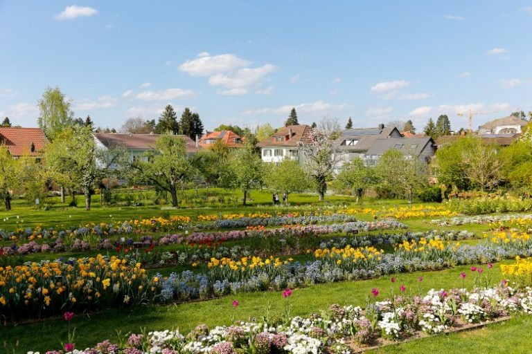 Top 15 Things To Do In Bern, Switzerland │Touring Highlights